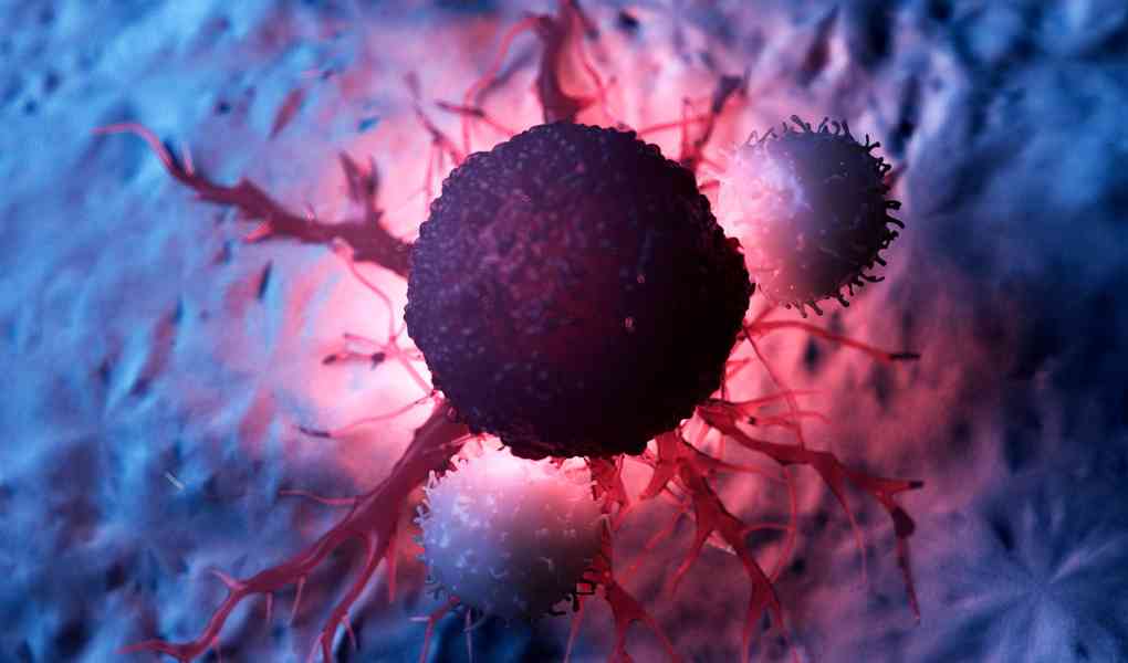 Perbedaan Tumor dan Kanker